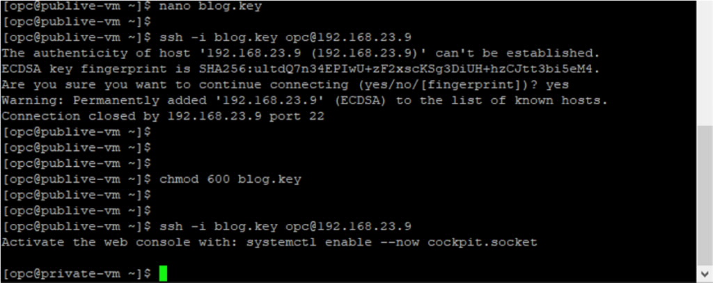OCI Public and Private Subnets in Association with Internet and NAT ...