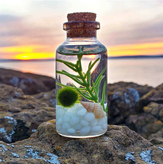 Say Goodbye to Notebook Chaos: Why Marimo Might Be Your Next Data ...